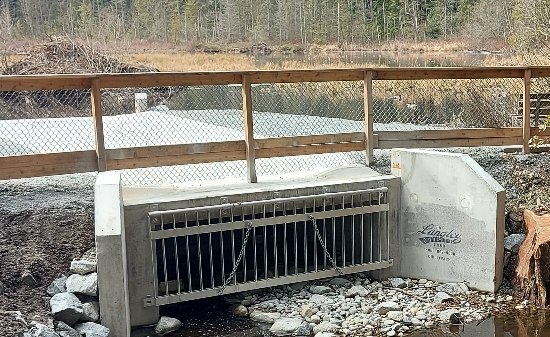 Stanley Park Beaver Lake: Custom Box Culverts with Fish Ladders to ...